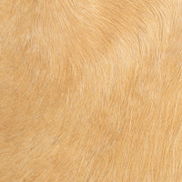Beige Cowhide Rug Collection - Ecowhides – eCowhides