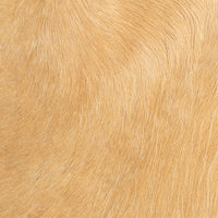 The Different Types of Cowhide: Hair-on Hide, Hair-off Hide, and More ...