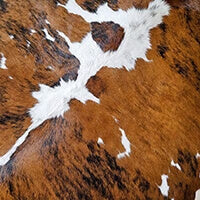 The Different Types of Cowhide: Hair-on Hide, Hair-off Hide, and More ...