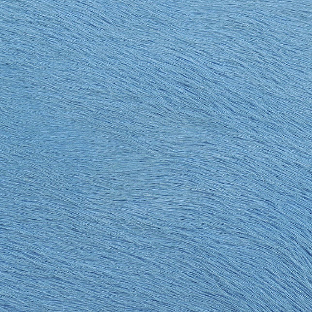 Sea Blue Dyed Cowhide Rug , Natural Suede Leather | eCowhides